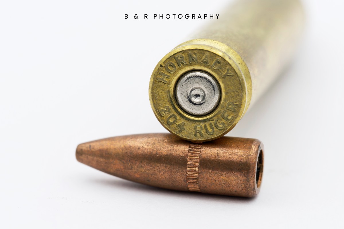 The Weekly Cartridge – The .204 Ruger. A Need for Speed. – B & R ...